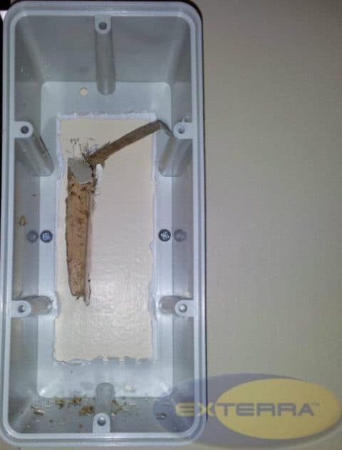 Termite Exterminator | Termite Baiting & Termite Barriers